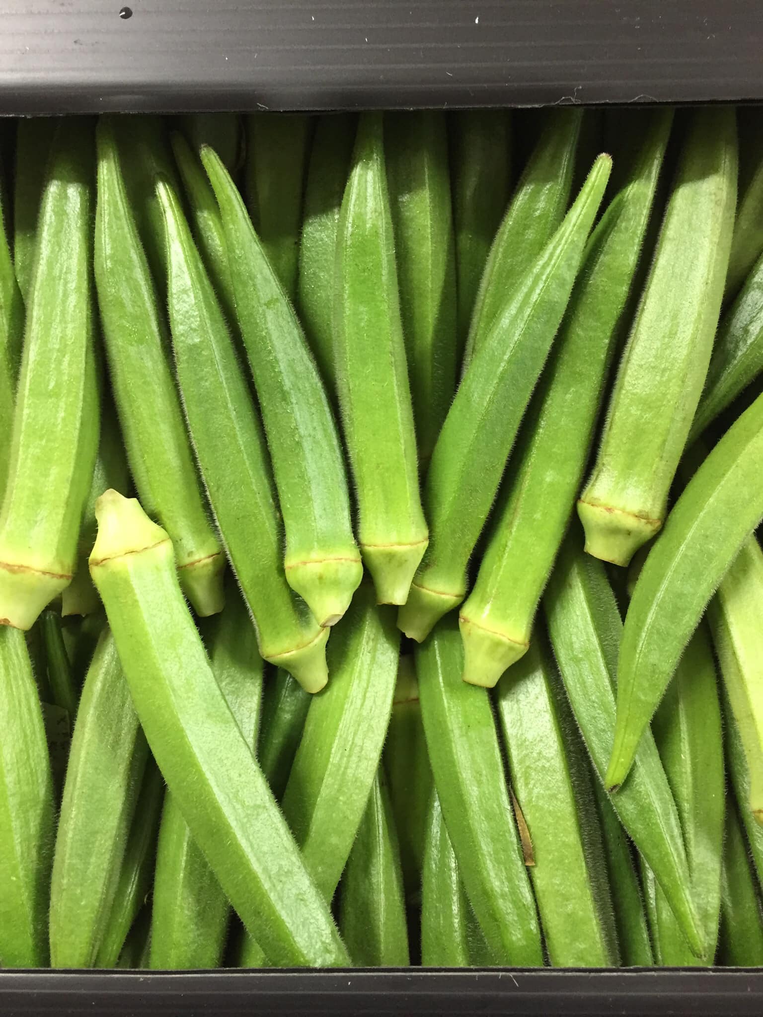 Okra – The Butchers YMT
